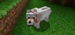 Minecraft – Pet Wolves! | BangClickReload